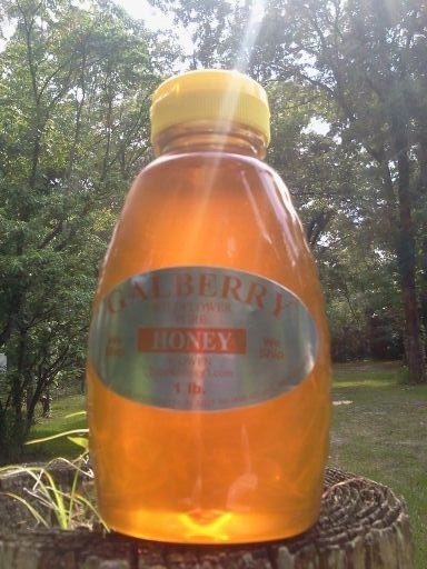 Honey Ambassador Townhomes High Point NC. | Honey Products